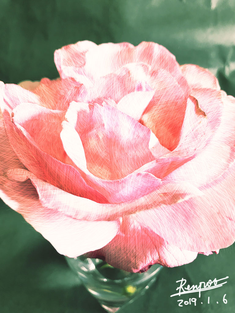 Koji Sato (Renpoo Tsukioka) | Creative Technologist - Koji Sato (Renpoo Tsukioka) | Creative ...